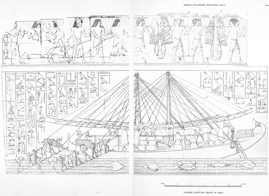 Punt Expedition – 8 | PARKOFF'S HISTORICAL TRAVEL BLOG